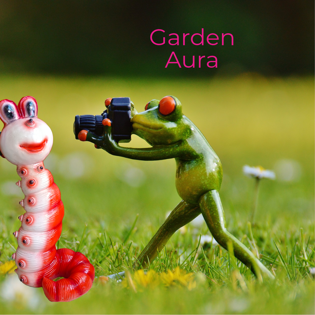 Swift Snail | Order Online at Garden Aura | Best for Gifts